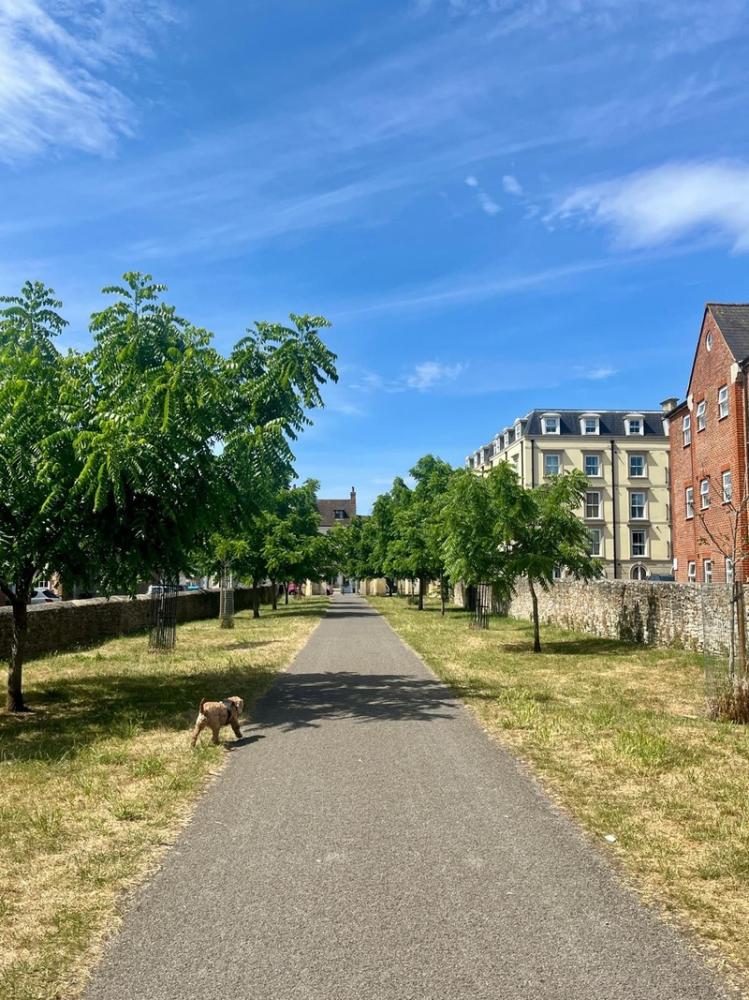 Ultimate Guide to Swindon Town: Attractions & Heritage